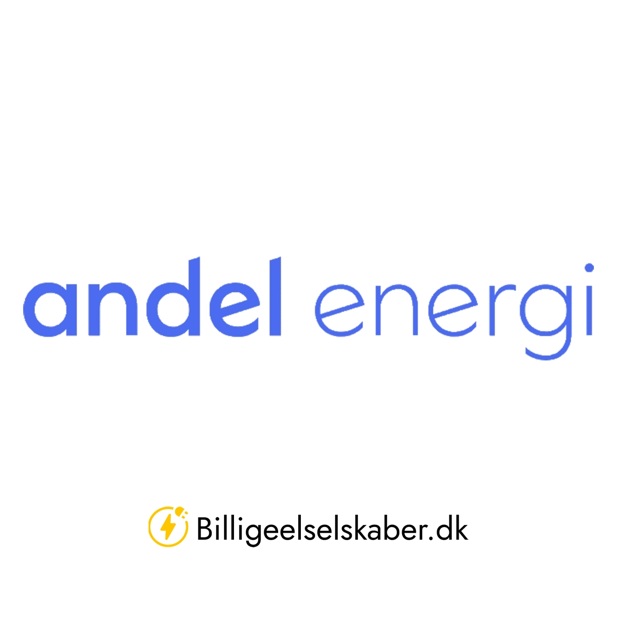 Andel Energi Anmeldelse → Priser, fordele & ulemper (2025)